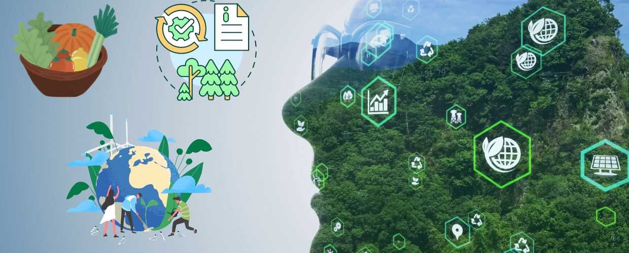 Environmental Management: Navigating The Path To Sustainability