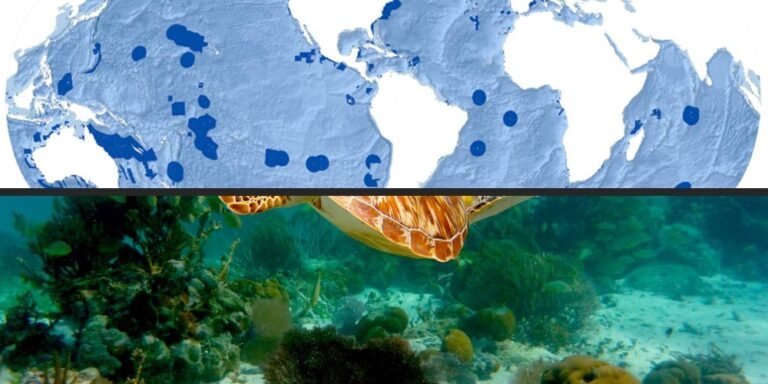 Marine Protected Areas: Safeguarding The Seas